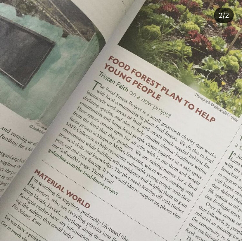 News – The Food Forest Project